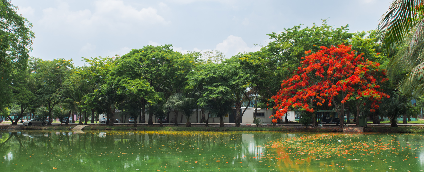 Thammasat School of Engineering